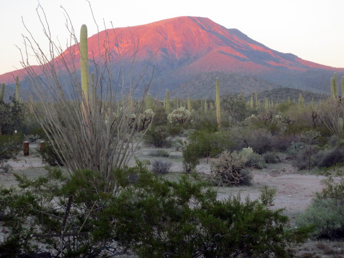 At the table of the desert spirits: Atop the Sonoran Desert National ...