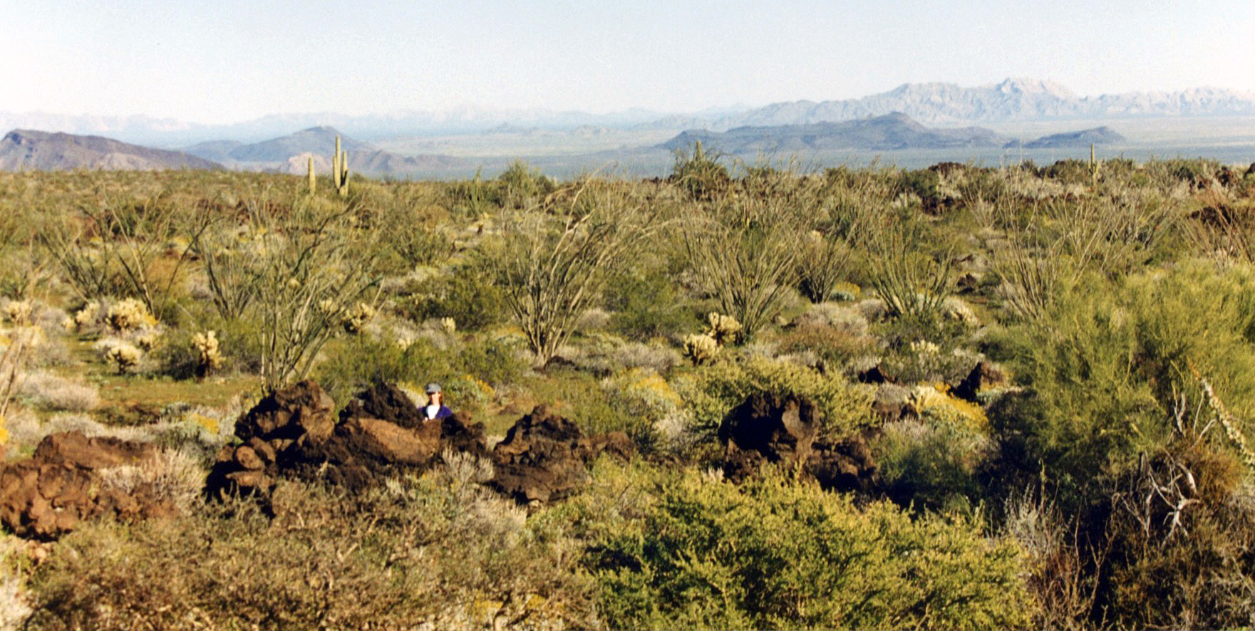 On I’itoi’s estate: From the flanks of a shield volcano – Sonoran Visions